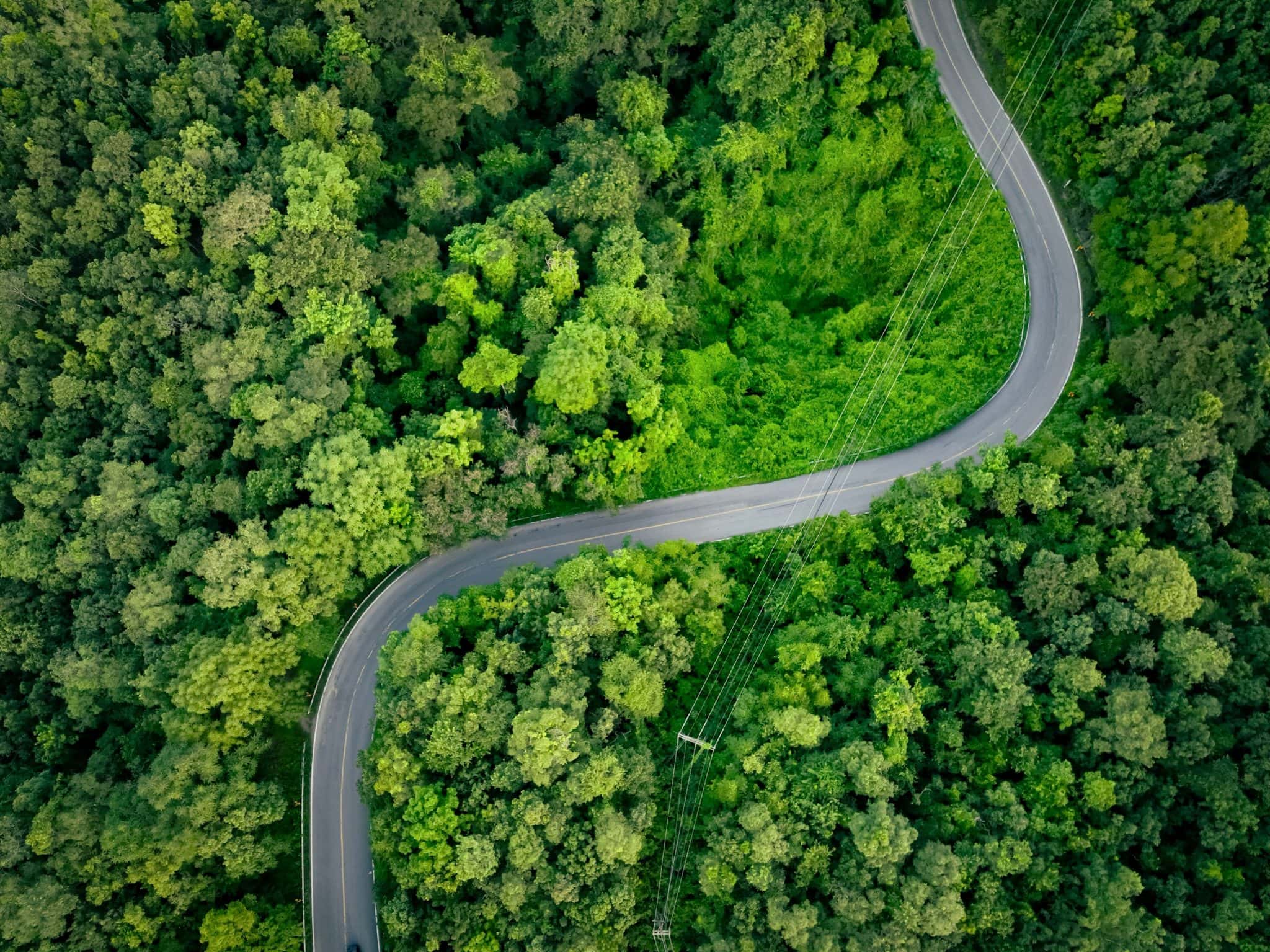 Louis Davidson, Author at Simple Talk