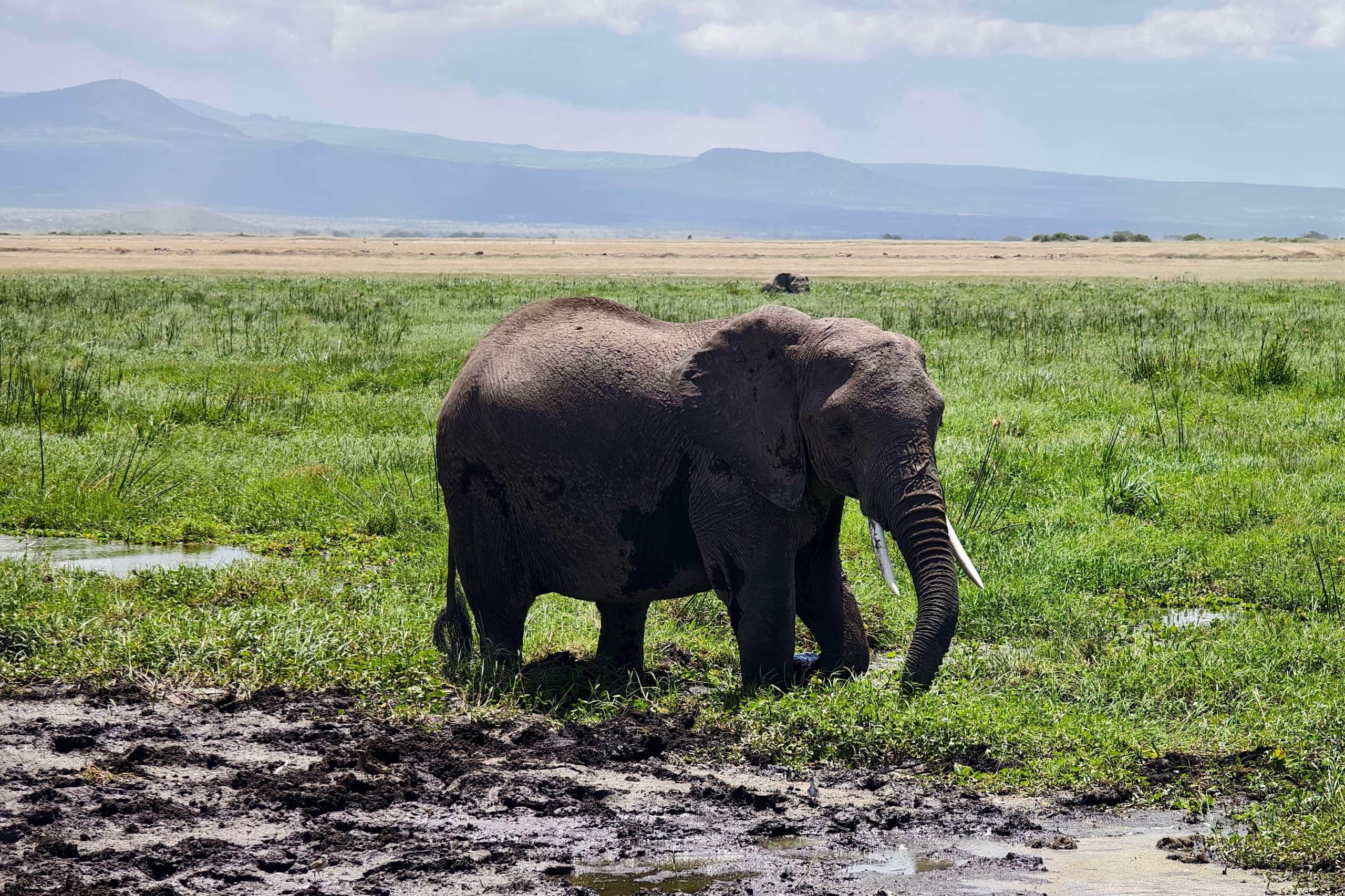 Introduction to PostgreSQL for the Data Professional - Simple Talk