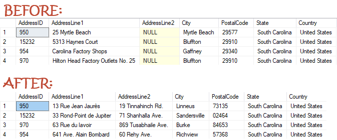 A Basic Technique for Masking Address Data using Data Masker | Redgate