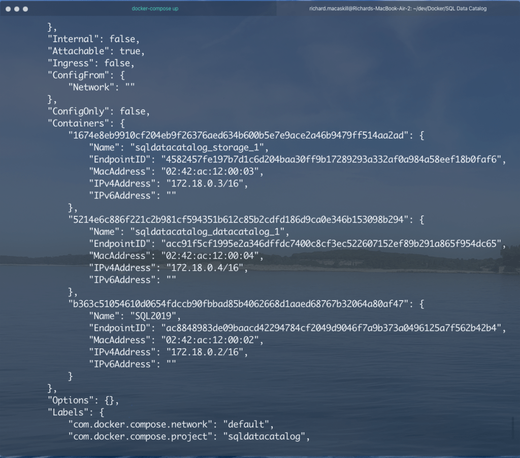 Evaluating SQL Data Catalog using Docker Containers | Redgate