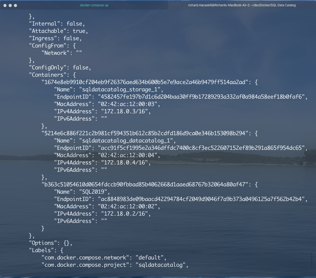 Evaluating SQL Data Catalog using Docker Containers - Redgate Software