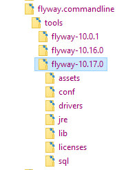 Installing and Upgrading the Flyway CLI | Redgate